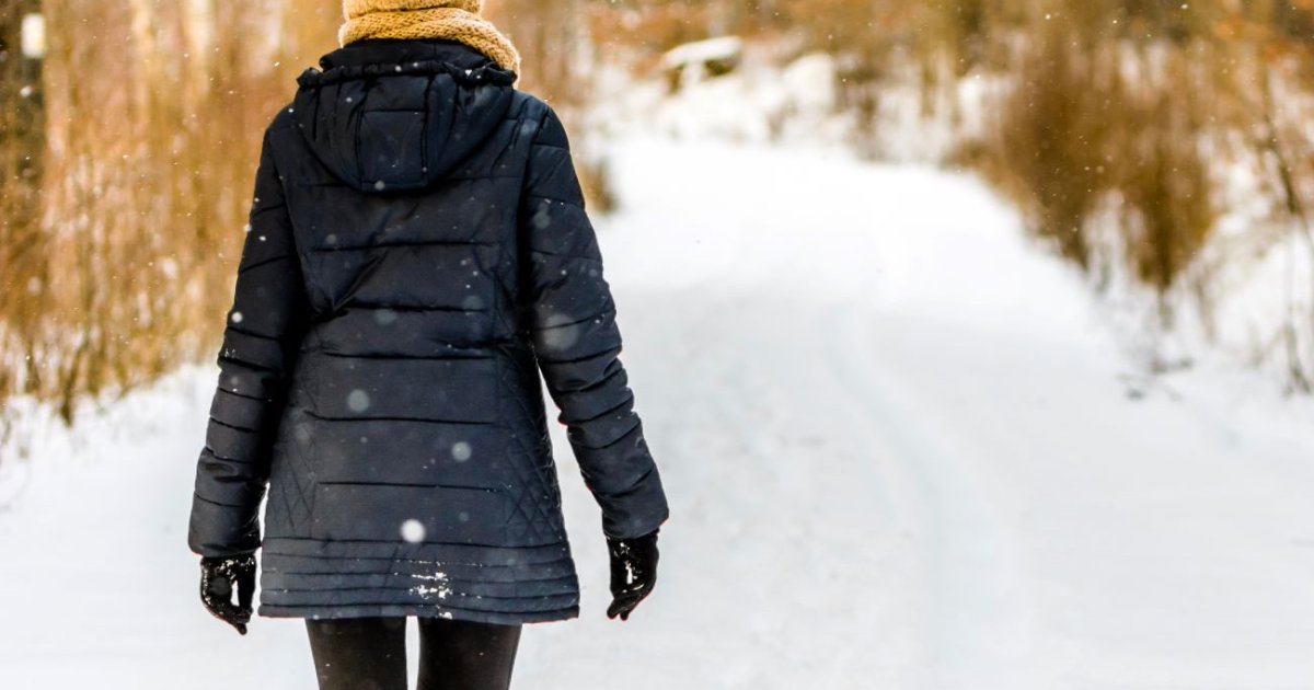 Winter Walks | Discover Surrey BC