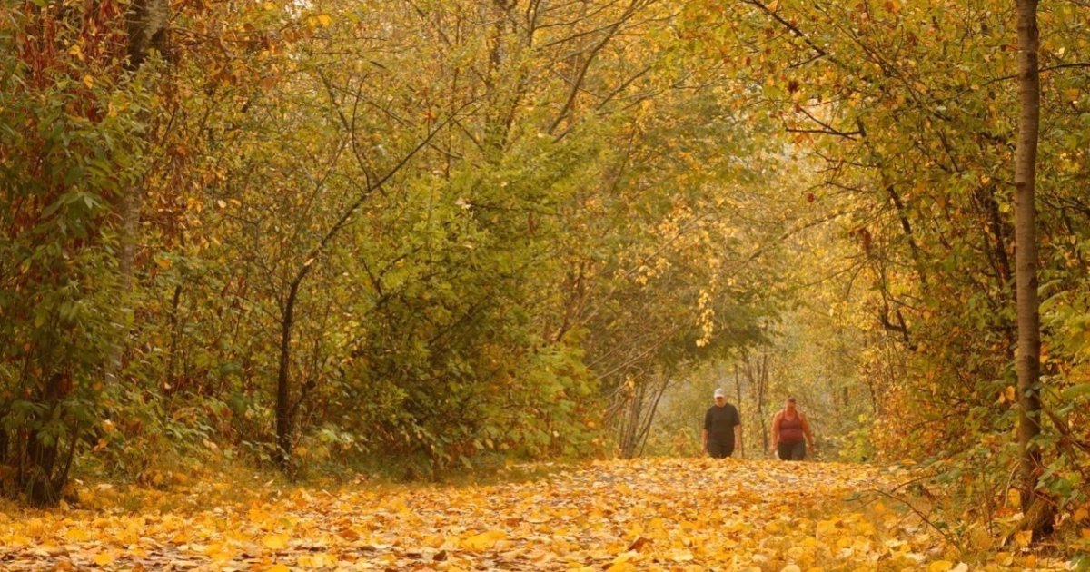 Walking Trails with Fall Colours | Discover Surrey BC